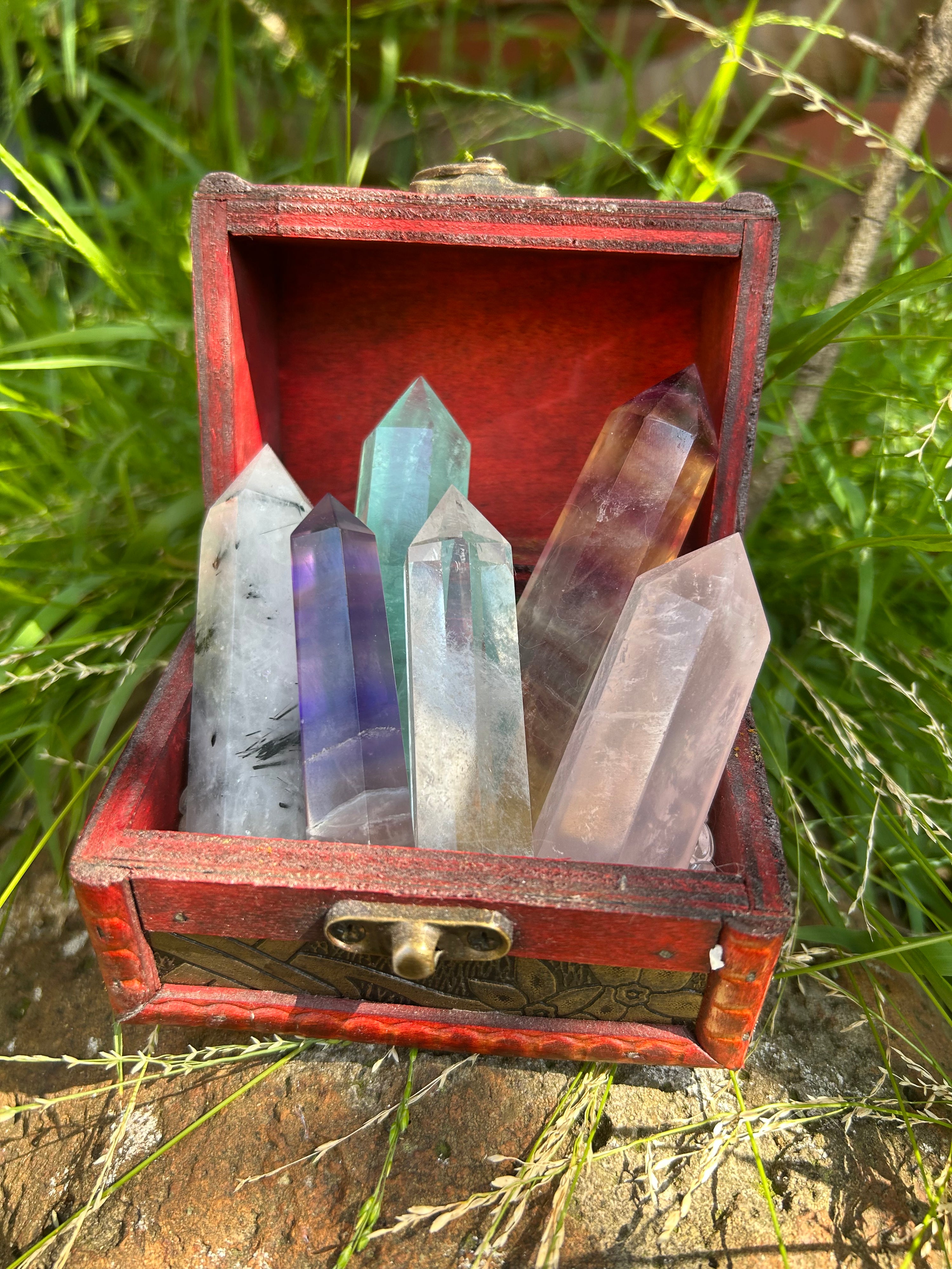 Curio Online Collections